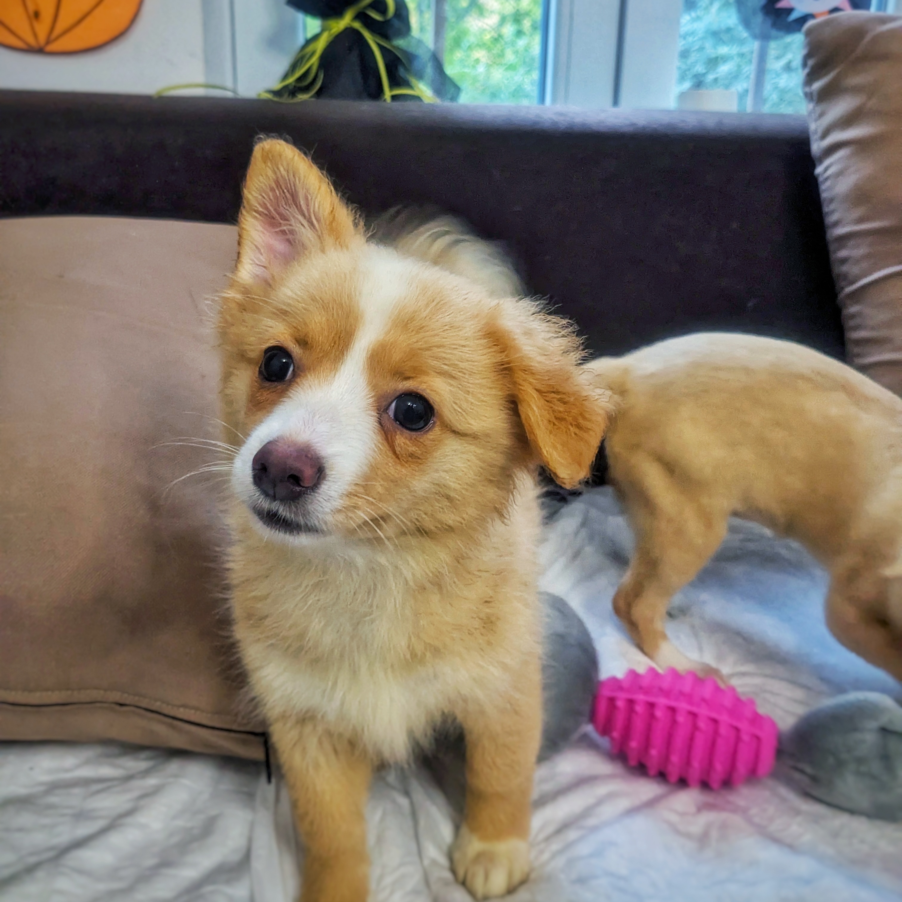 VIER PFOTEN_2024-01-24_00143.jpg | FOUR PAWS